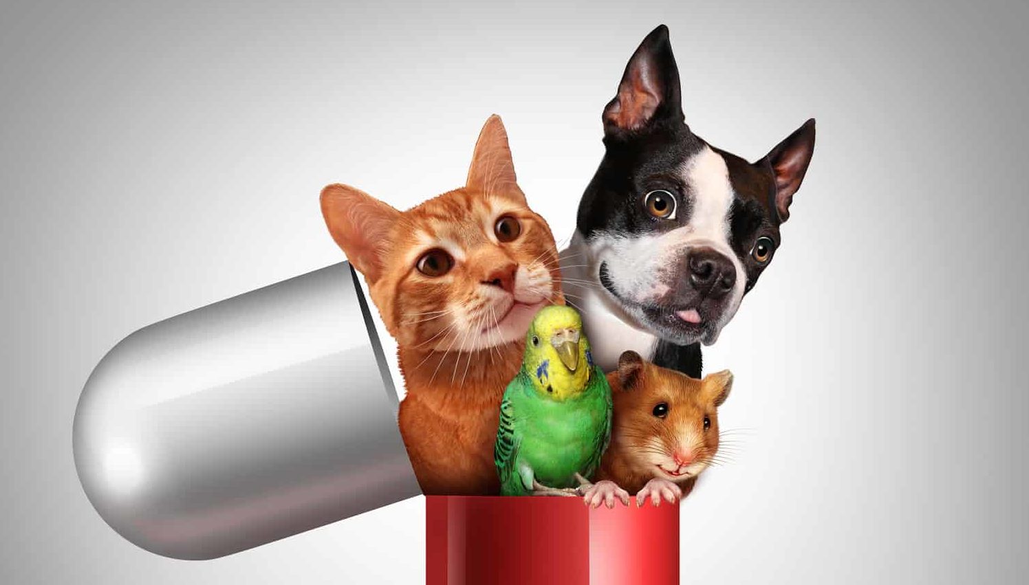 VETERINARY PHARMACY AND HOW IT HELPS OUR PETS VETERINARY PHARMACY AND HOW IT HELPS OUR PETS