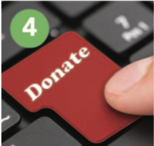 Saving the Marsh Tacky - Carolina Tails Magazine | Articles