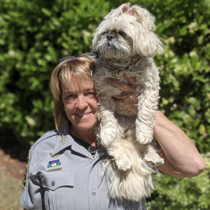 Saving the Marsh Tacky - Carolina Tails Magazine | Articles