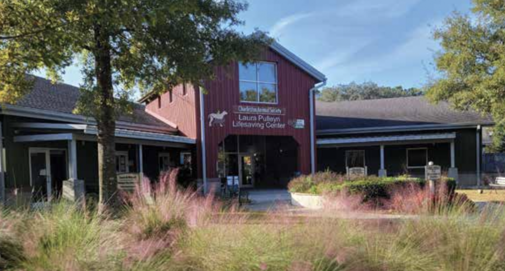 Charleston Animal Society Celebrates 150 Years - Carolina Tails Magazine